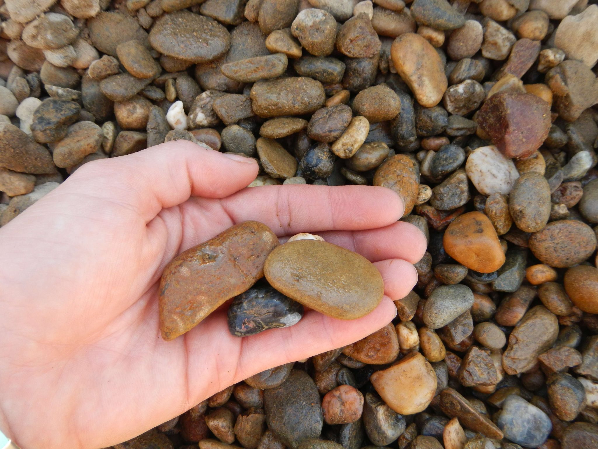 3/4 Lodi Brown - Landscaping Supplies