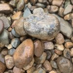 2x10" Gold River - Landscaping Supplies