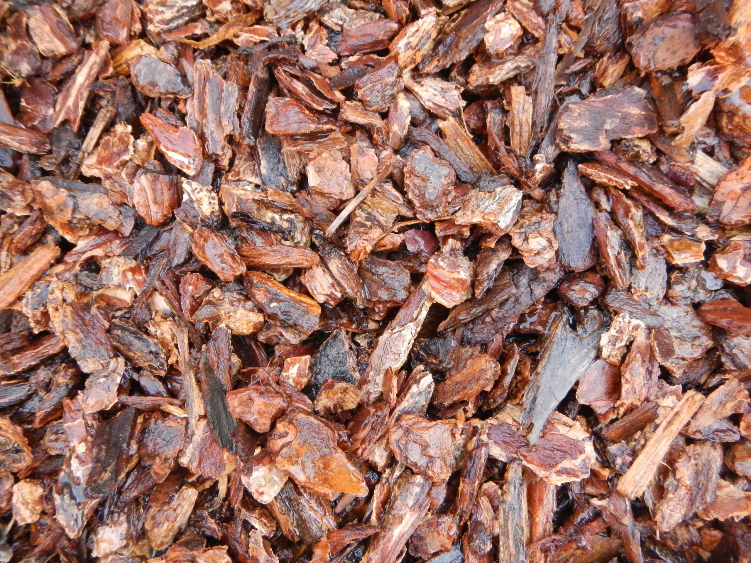 Small Deco Bark - Landscaping Supplies