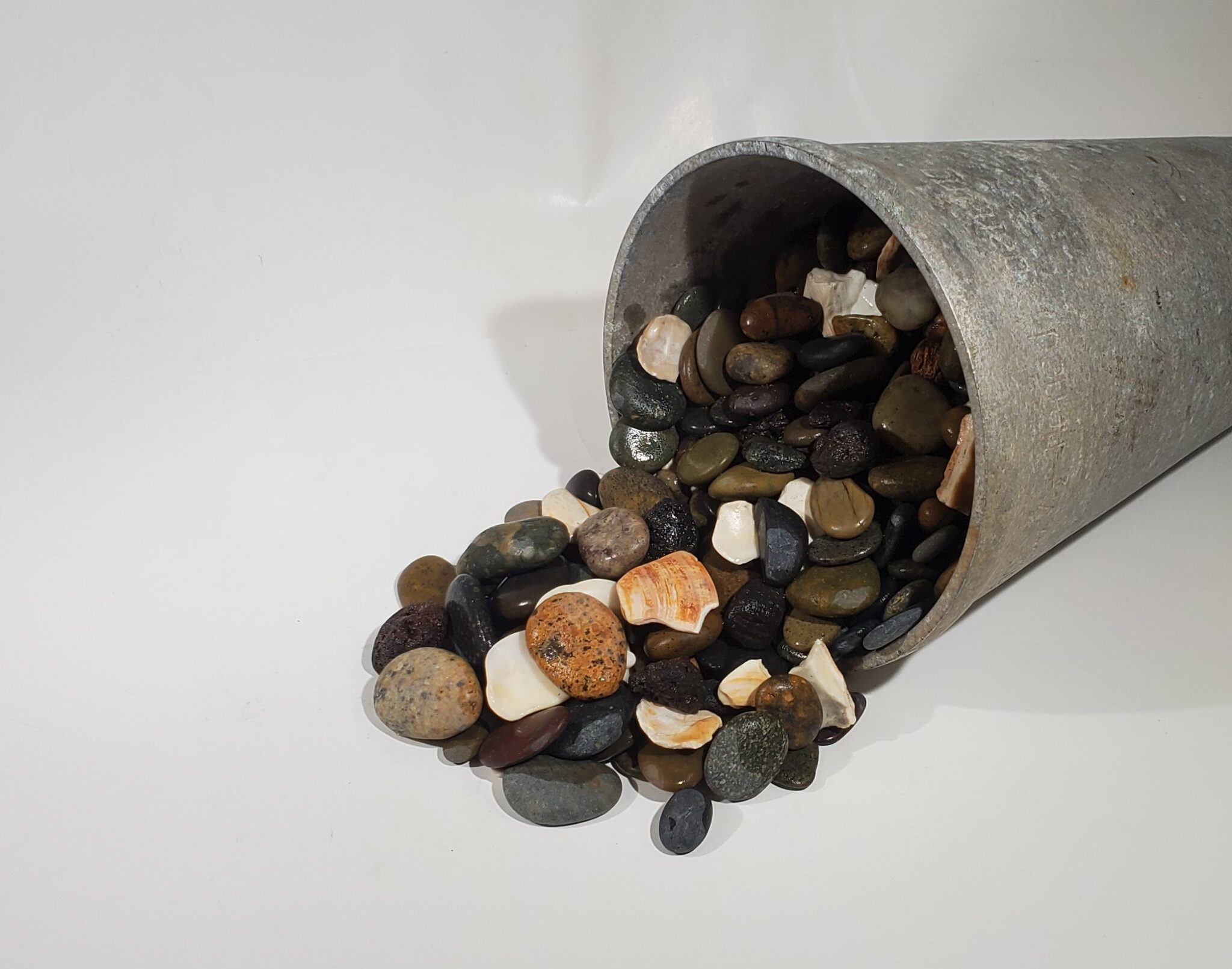 Tumbled Ocean Button Shells - Landscaping Supplies